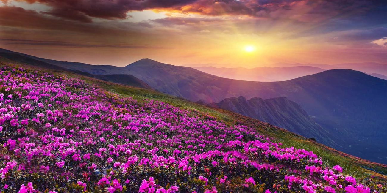 Media & Awards | New York, NY | Madison Park Psychological Services